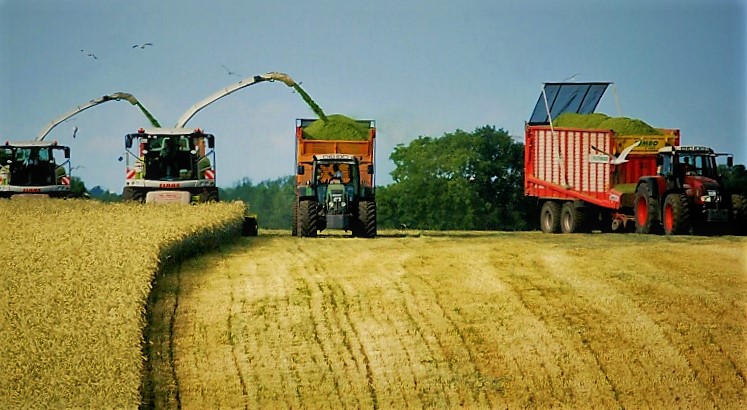 Quick-Cover Laderaumabdeckungen | Sonderangebot 10-Jahr-Jubiläum ...